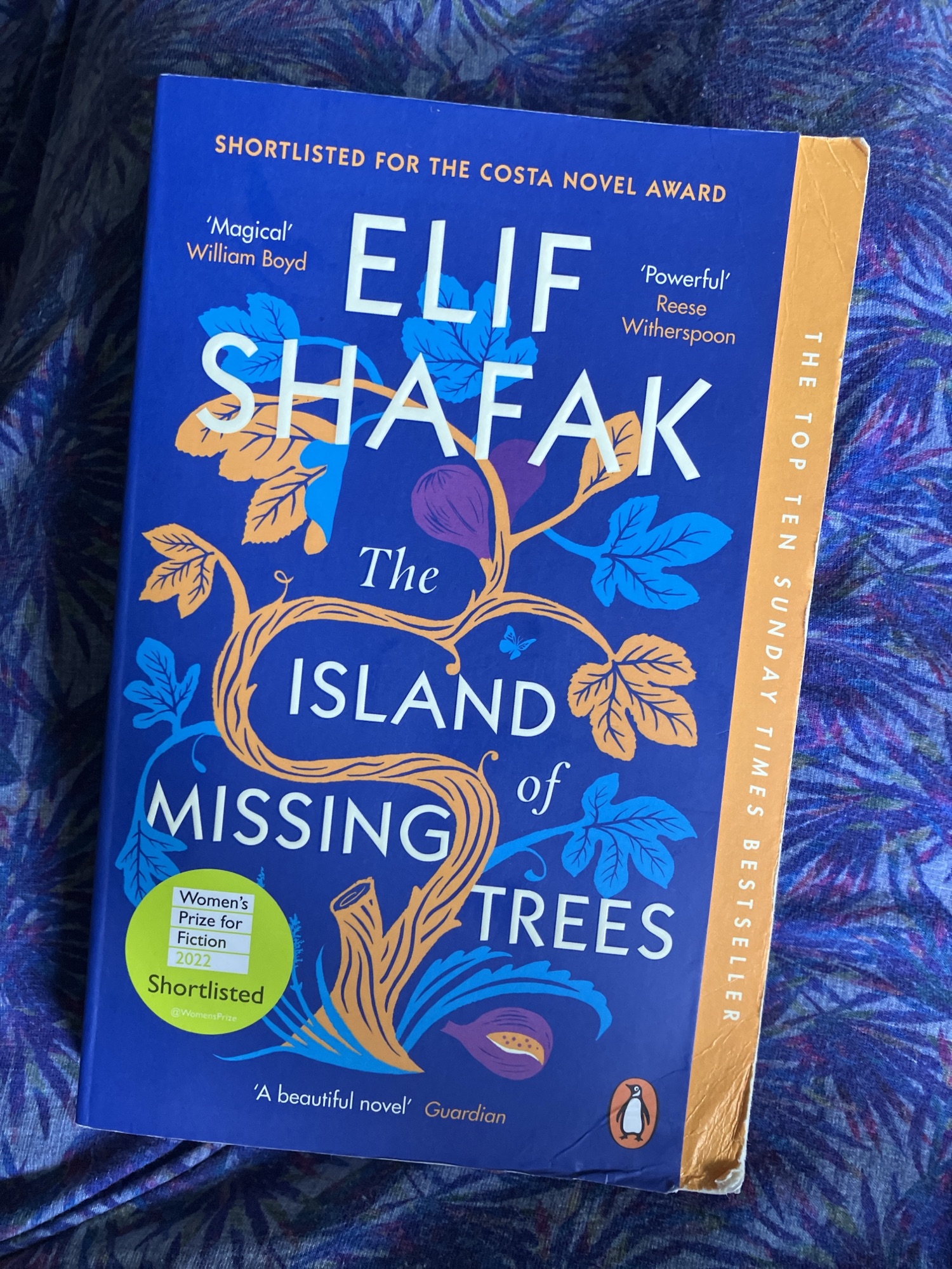 The Fig Tree – John McGuinness Piano